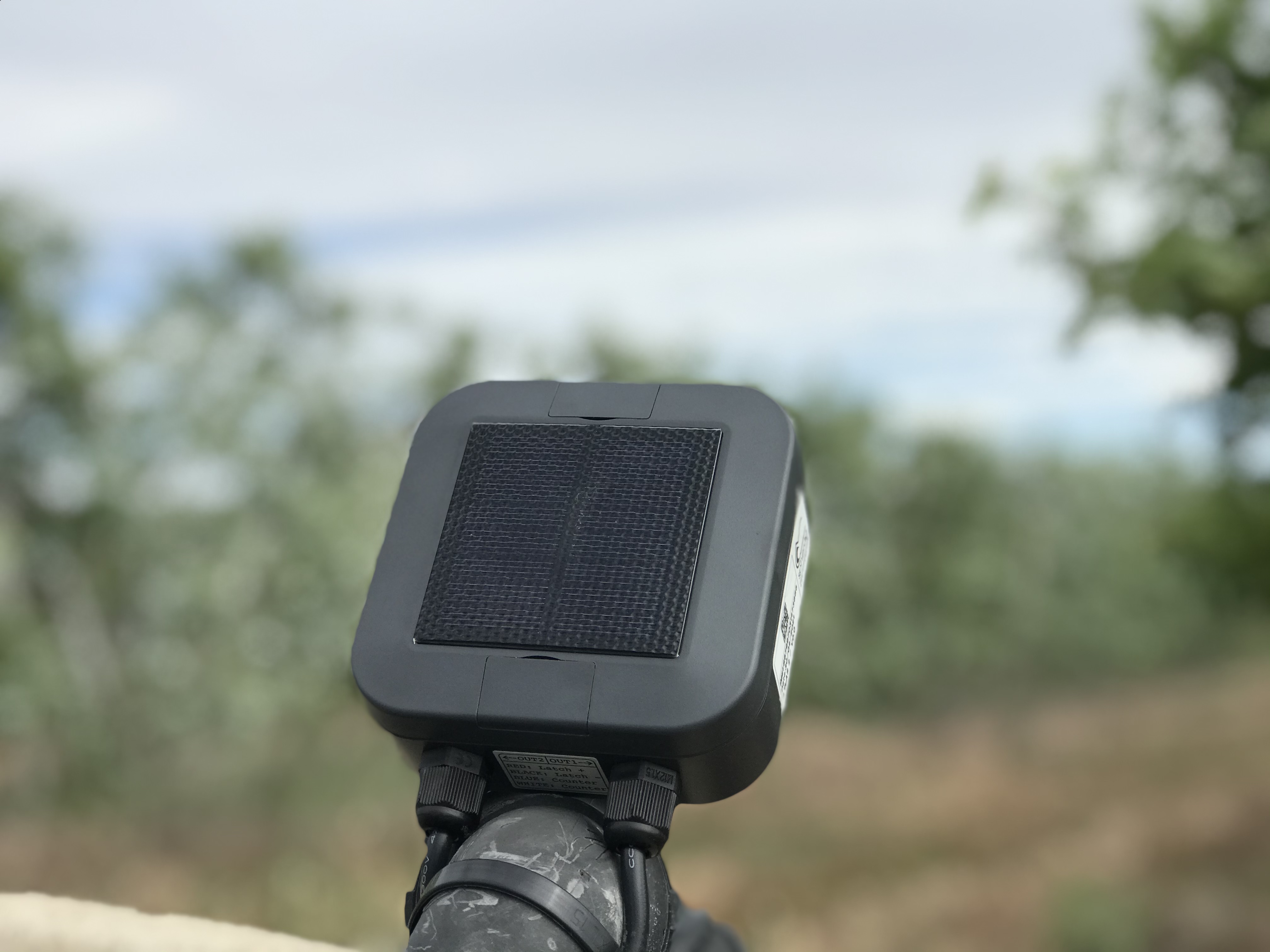 Saving water through digitalisation | BayWa AG